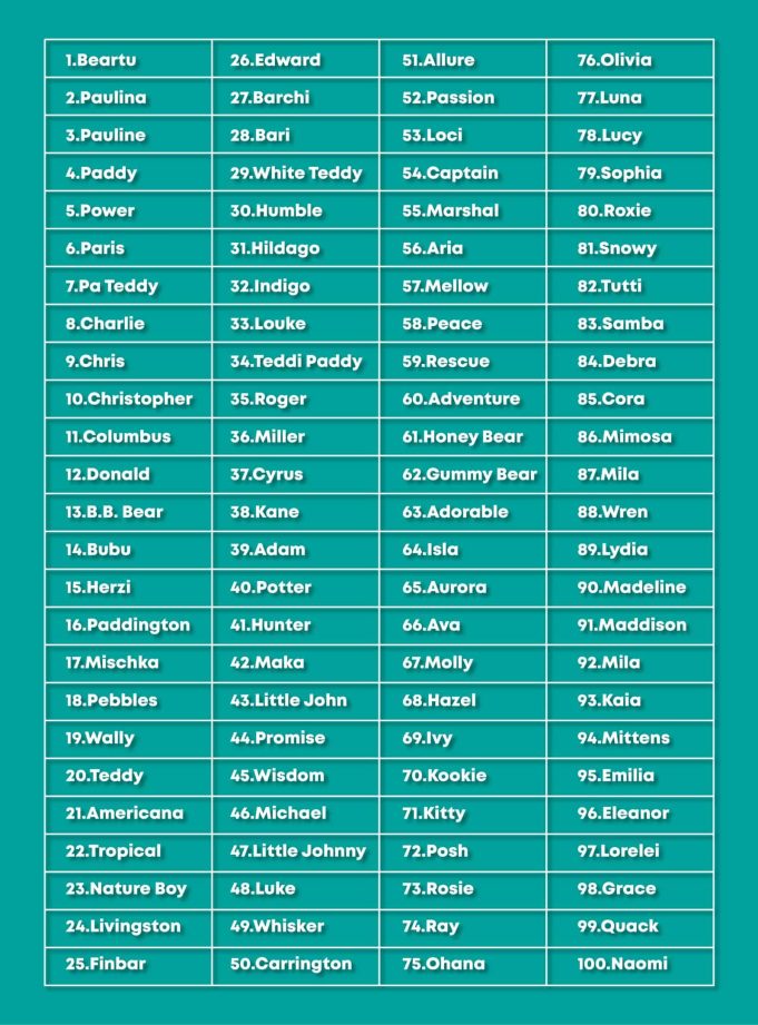 Best 700+ Teddy Bear Names: Fun Ideas For Kids Best Friend Naming