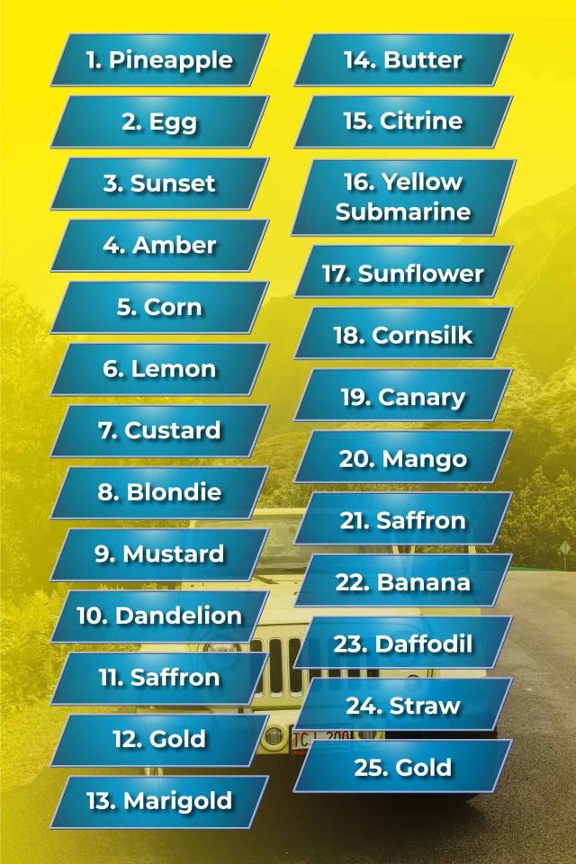 755 Jeep Names: The Ultimate Guide To The Best Names For Your Ride