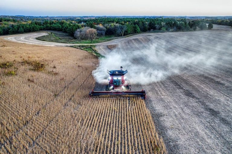 The Benefits Of Sustainable Farming: A Greener Approach To Agriculture