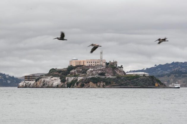 Why Did Alcatraz Close? The World’s Renowned Prison Explained - South ...